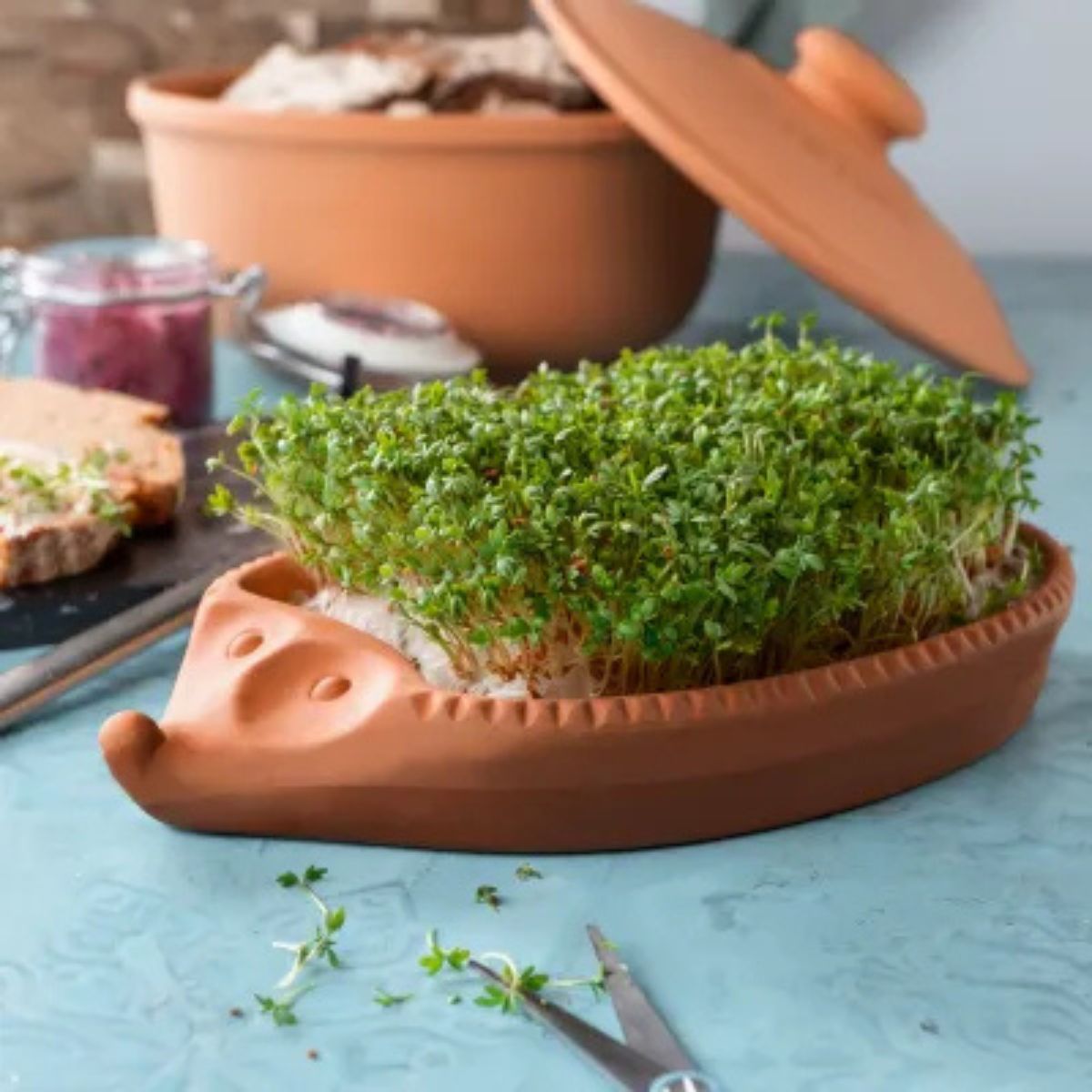 Germinador para semillas de terracota Römertopf – Claudia&Julia